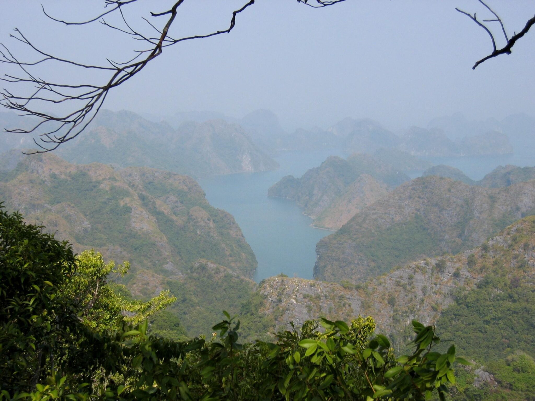 Cat Ba National Park in the North of Vietnam