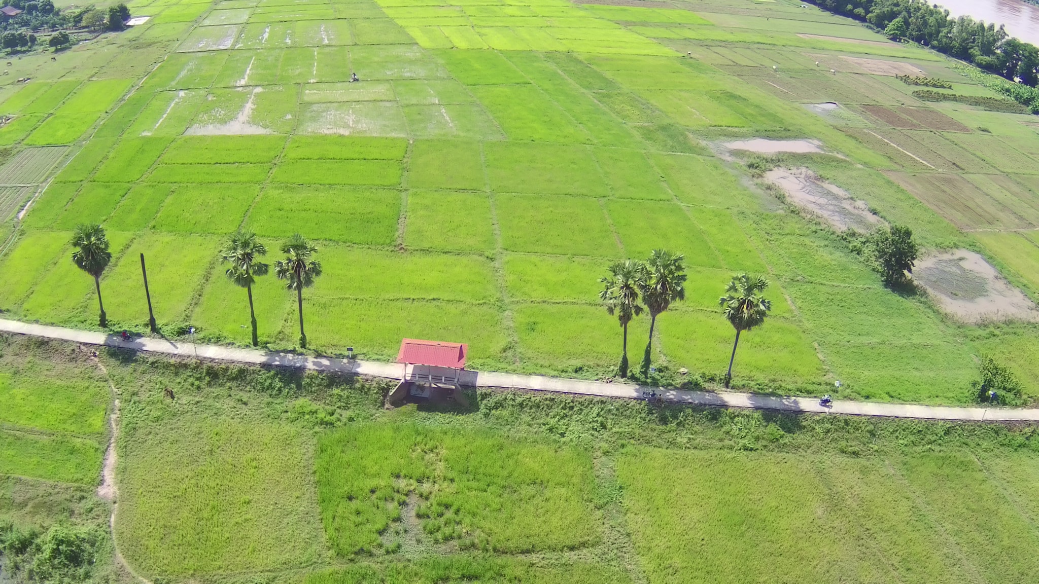 Ultimate Travel Guide to Kratie Cambodia