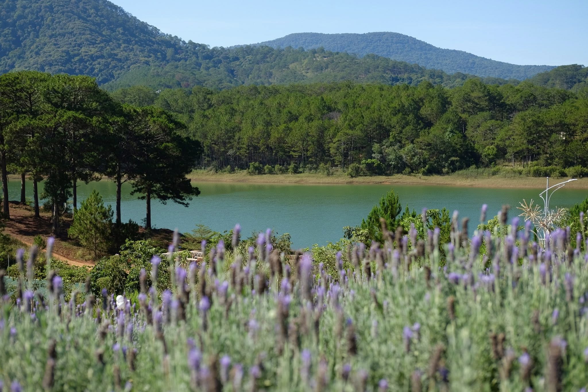 Da Lat Travel Guide: Things to Do, Best Time to Visit, and How to Get There